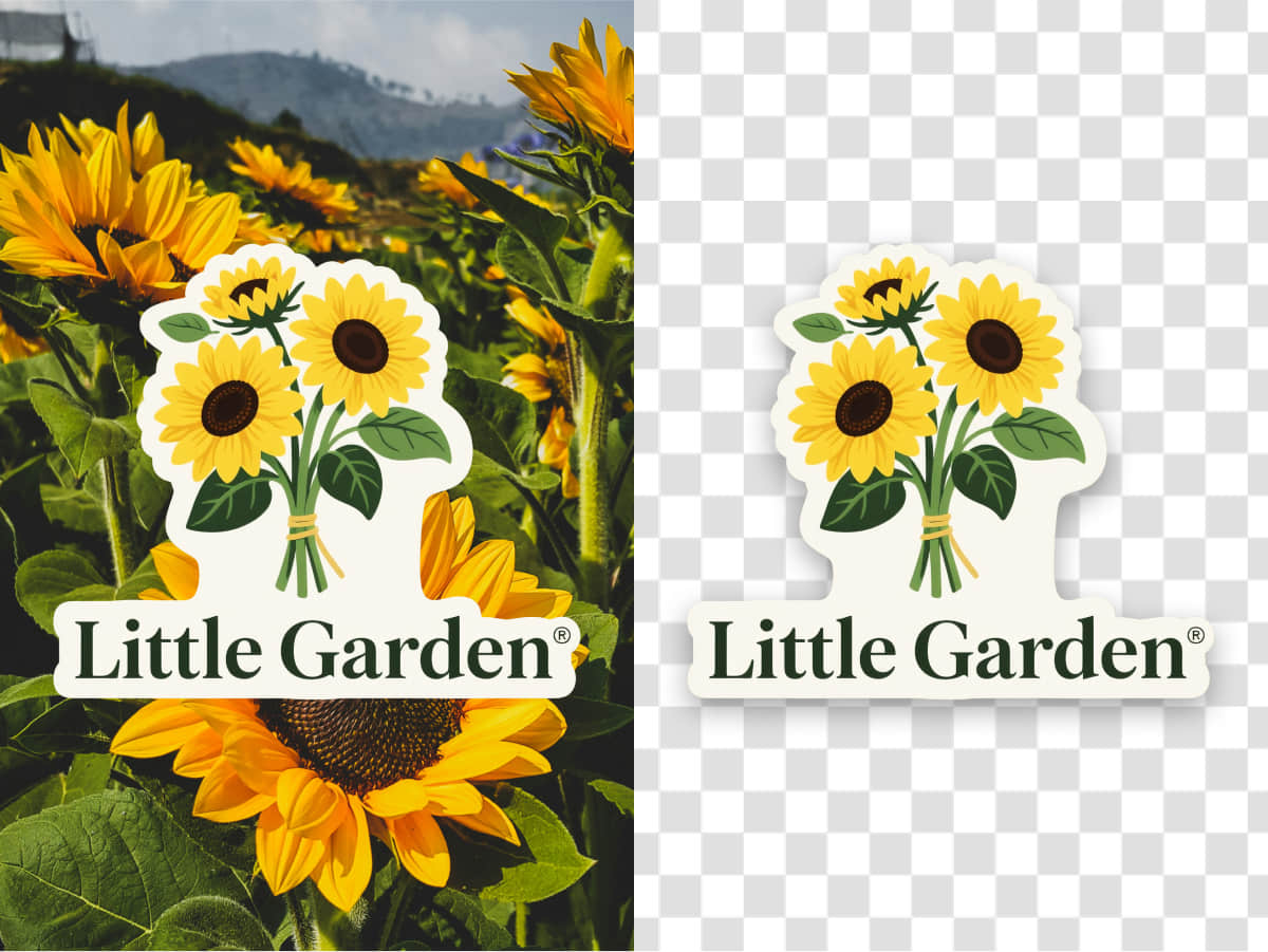 Free Logo Background Remover Online | Remove Logo Background with AI