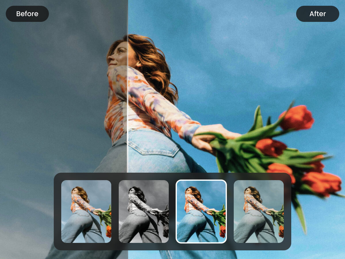 Filtros de fotos online para PC | Descarga gratis la herramienta para ...